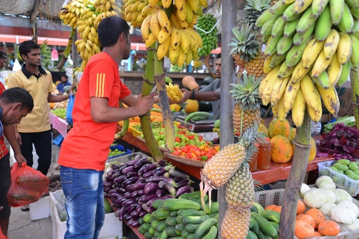OMS : 866 millions de malades et 1,5 million de morts chaque année, l ...